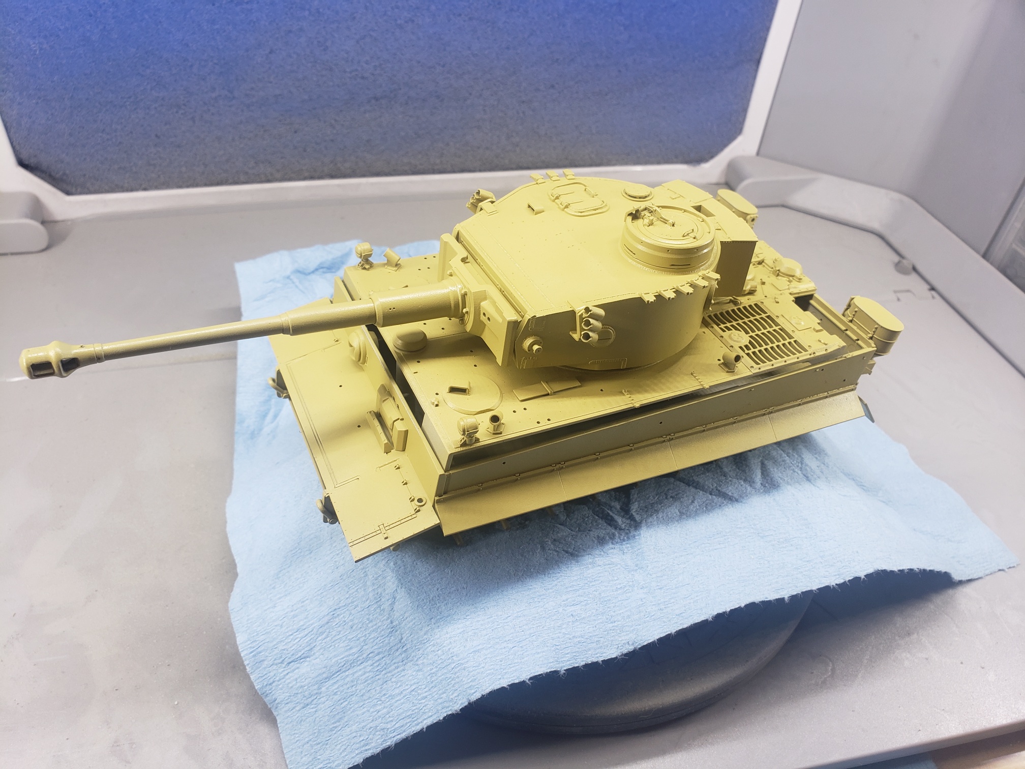 20210611_121617_resized – TIGER MODEL DESIGNS